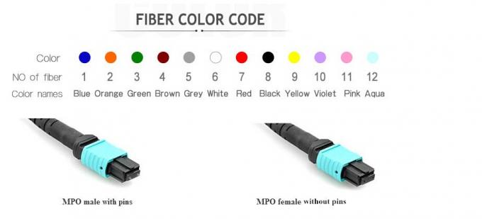 Blue Color MPO - MPO Fiber Cable Optical Fiber Patch Cord PVC / LSZH ...