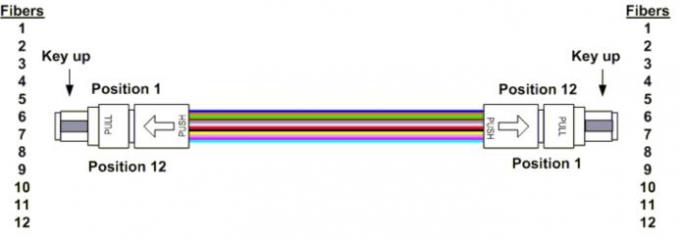 MPO / MTP - MPO / MTP male / female MPO MTP cable single mode patch cord