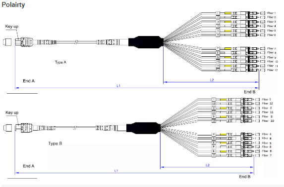 Polarity B MPO Trunk Cable Male To Male 3m 5m 10m Length Staggered ...