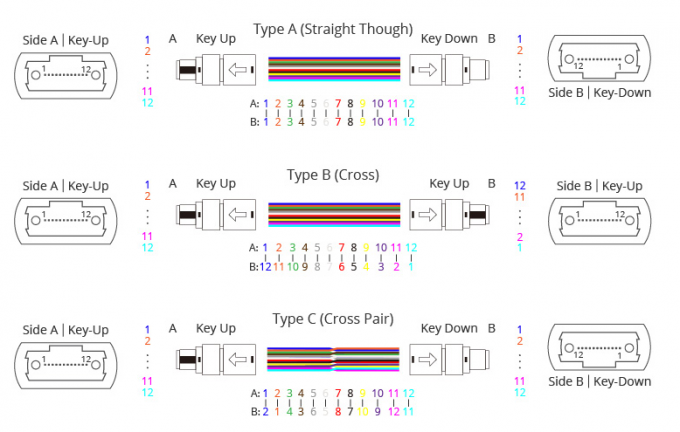 3.0mm 100G MPO To MPO Jumper Fiber Cable Female Connector 10m Low ...